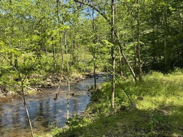 915 Chestnut Valley Rd, Vonore, TN 37885