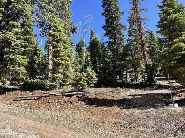 915 W Shale, Duck Creek Village, UT 94762