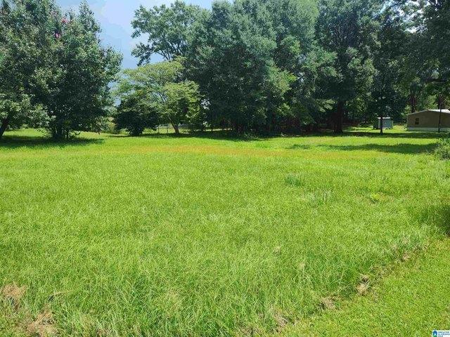 9166 S Main St Lot 0, Wilsonville, AL 35186