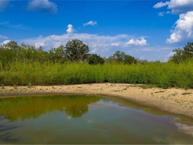 916 County Road 421