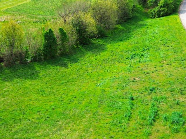 916 Carter Springs Dr, Maryville, TN 37801 | MLS #1335