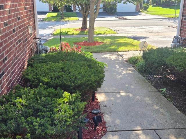 916 Berry Path Trail