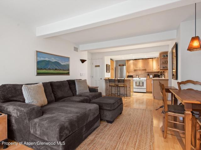 916 E Hopkins Ave, Unit 102, Aspen, CO 81611 | MLS #174055 | Compass
