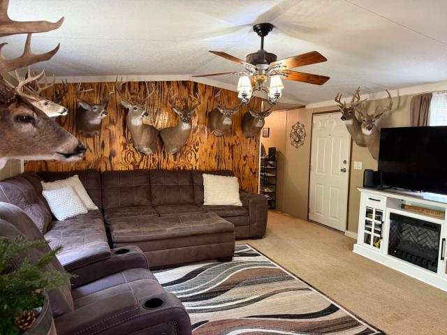 916 Island Fork Road