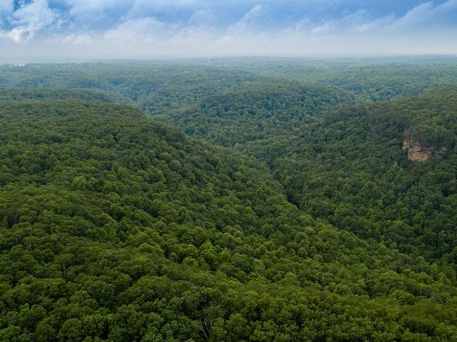 916 N Rim Dr, Coalmont, TN 37313
