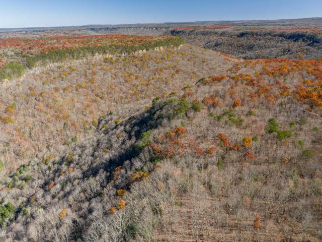 916 N Rim Dr, Coalmont, TN 37313 | MLS #1531