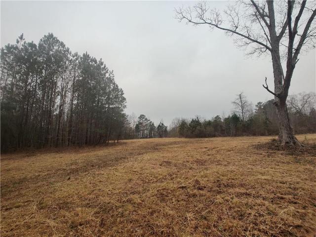 916 Tab Roberts Road