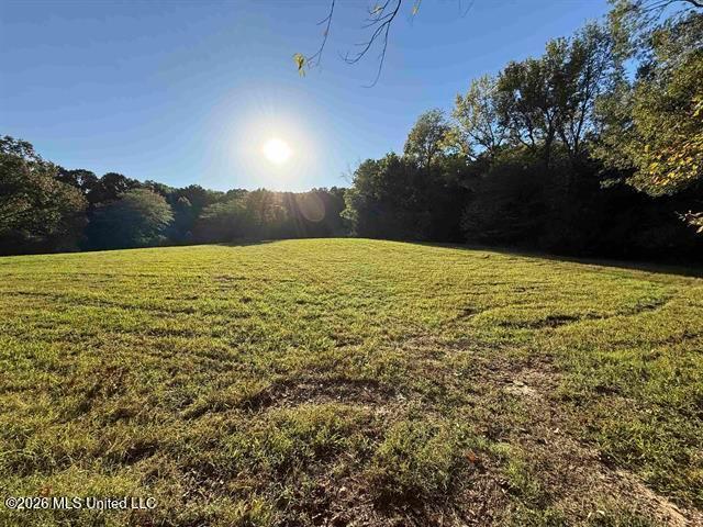 9171 Collierville Arlington Road