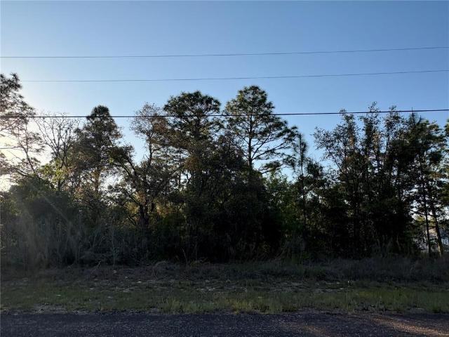 9172 N Marcus Way, Citrus Springs, FL 34433 | MLS #TB8380
