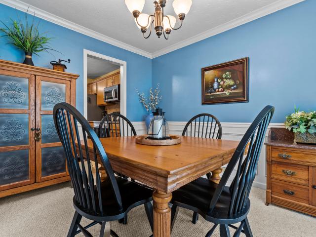 917 Jouett Creek Drive