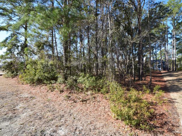 917 Sea Holly Court # 441
