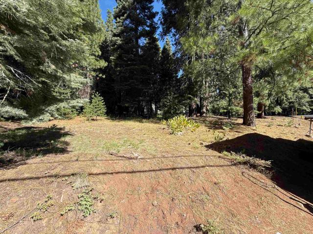 917 Peninsula Dr, Lake Almanor, CA 96137 | MLS #20250