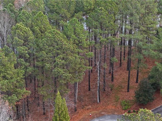 917 Rippling Water Way