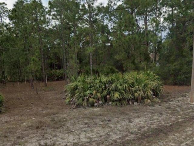 917 Wellington Ave, Lehigh Acres, FL 33972 | MLS #2026008 | Compass