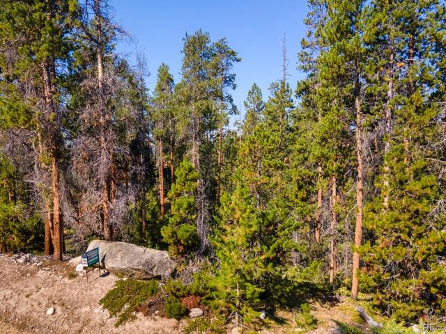 917 Tallaqua Dr, Grand Lake, CO 80447 | MLS #8060