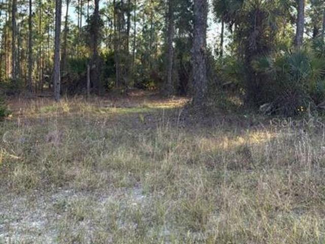 918 Belmont St E, Lehigh Acres, FL 33974 | MLS #TB8487