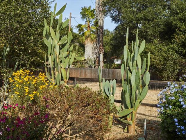 918 El Toro Road