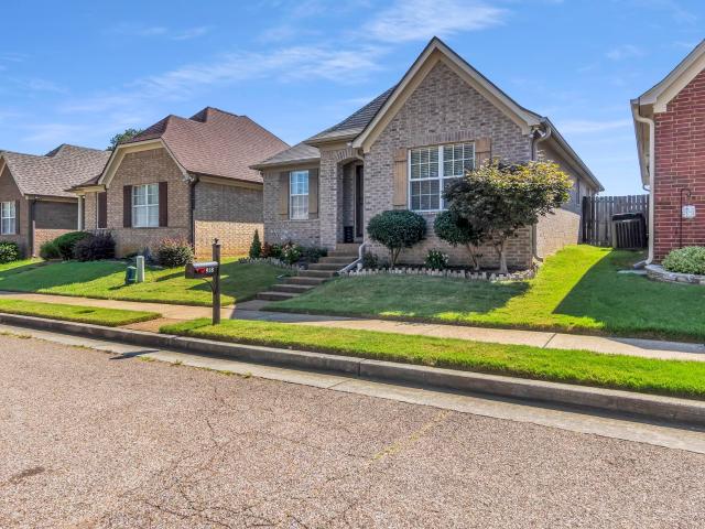 918 stixx ln