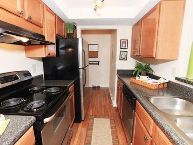 $919 / 3br 1200ft² Spacious! Ground Floor! Beautiful! North Charleston