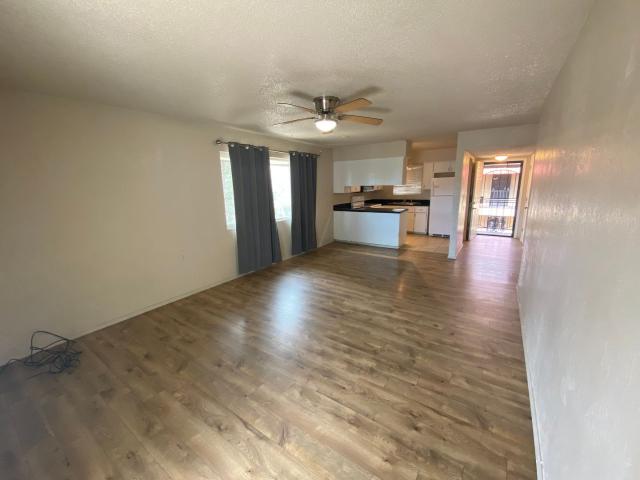 919 923 Alvarado