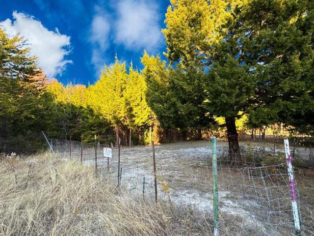919 County Road 919, Unit LOT 23A, Nevada, TX 75173 | MLS #21138