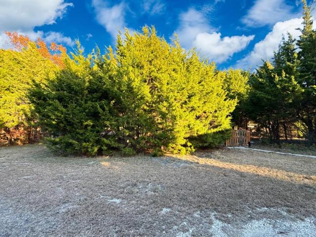 919 County Road 919, Unit LOT 23B, Nevada, TX 75173 | MLS #21138 | Compass