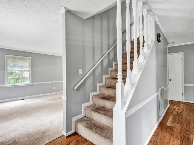 919 Creek Trail