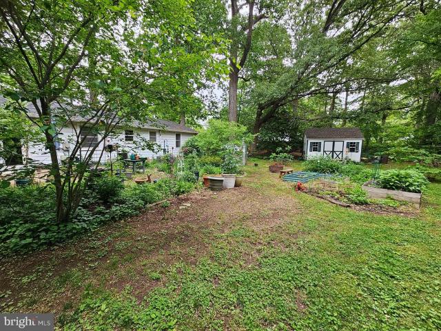 919 Blue Ridge Dr