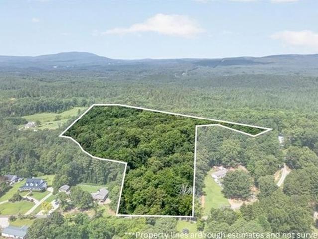919 Dry Pond Ln, Canton, GA 30114