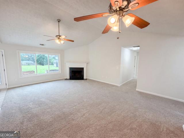 919 Elijah Way