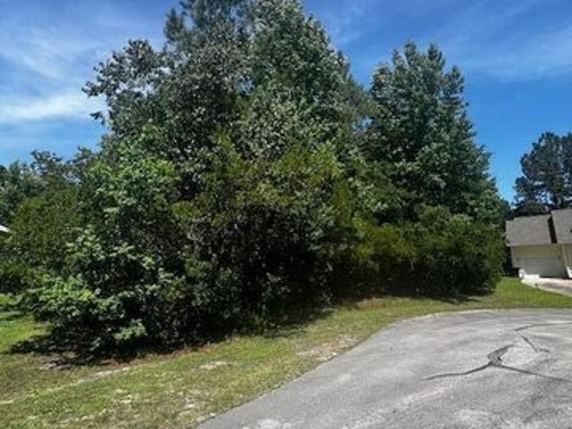 919 Hurricane Ct, New Bern, NC 28560