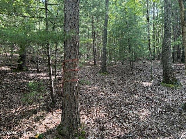 919 Panther Top Rd Lot 17, Murphy, NC 28906