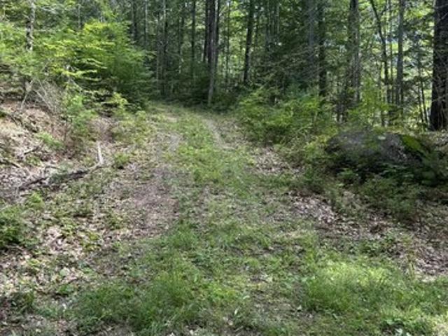 91 and 93 Brook Rd Lots 91 & 93, Mont Vernon, NH 03057