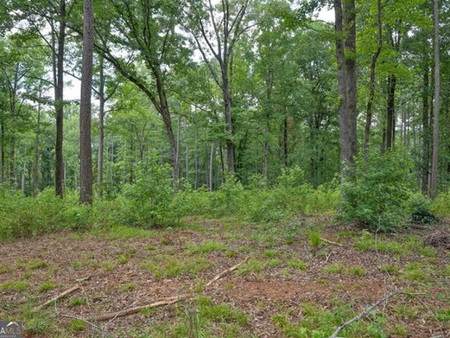 91 Askin Pl, Culloden, GA 31016