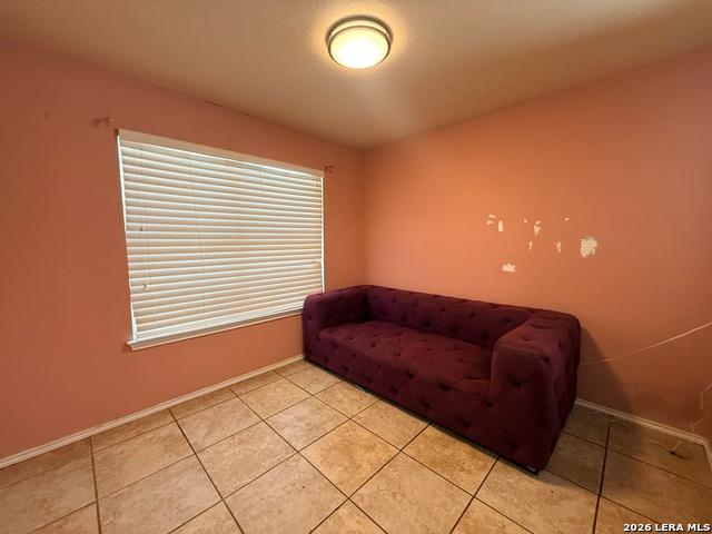 91 Booker Palm