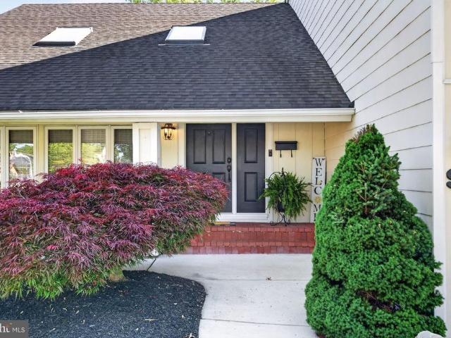 91 Carlton Avenue