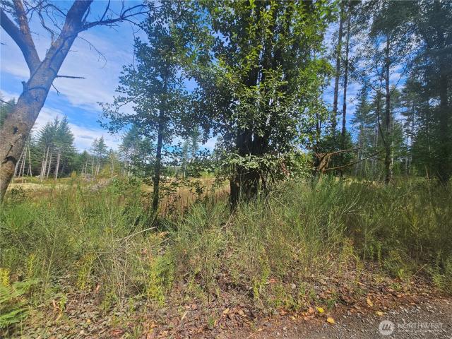 91 E Joyce Lane