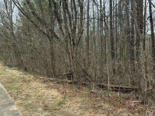 91 lot Haynoke Dr, Graham, NC 27253 | MLS #10148