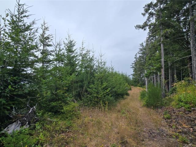 9207 Tract B Old Olympic Highway NW