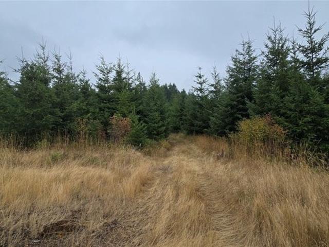 9207 Tract B Old Olympic Highway NW, Olympia, WA 98502