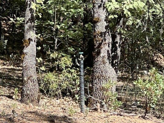 9208 Diamond Dust Trl, Kelseyville, CA 95451
