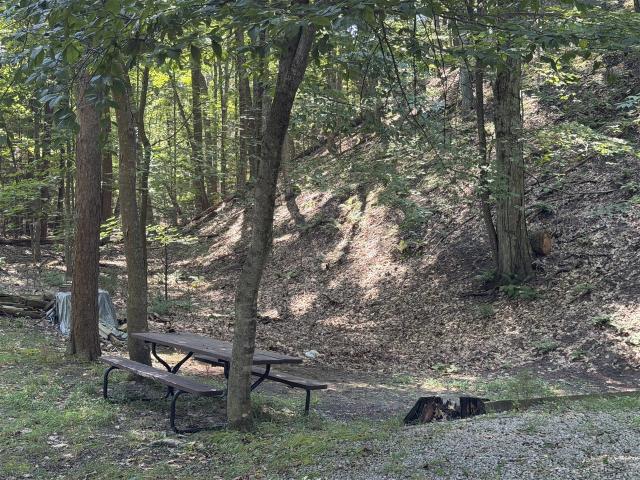 9209 Erie Trail