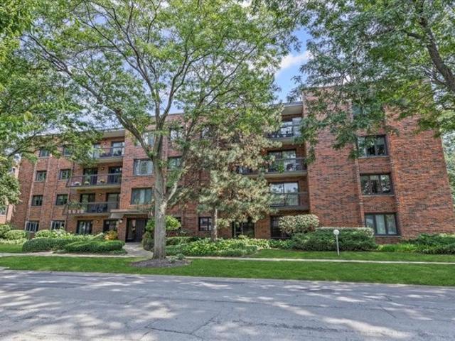 9201 Drake Ave Unit 101S, Evanston, IL 60203