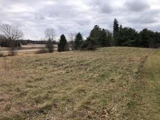 9201 Sharon Hills Ln, Manchester, MI 48158