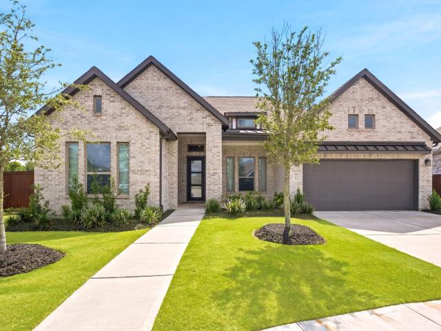 9203 Lacebark Lane