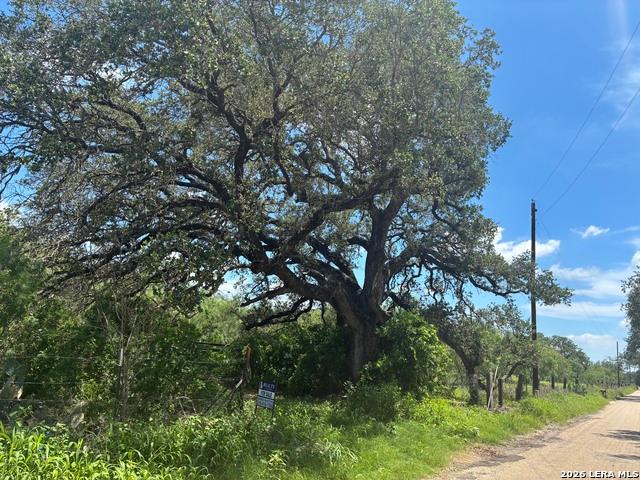 920 County Road 665