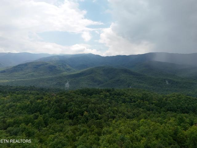 920 Black Gum Gap Rd