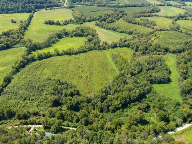 920 Driftwood Dr, Irvine, KY 40336