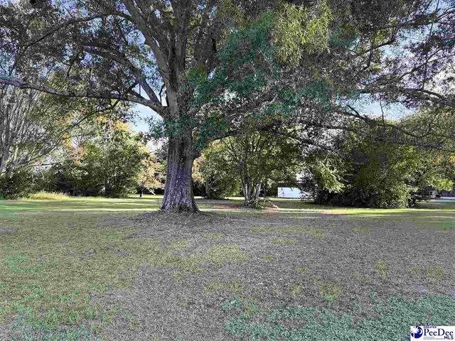 920 E Godbold St, Marion, SC 29571