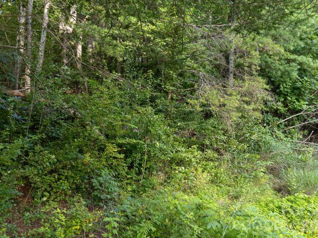 920 Mills Gap Road